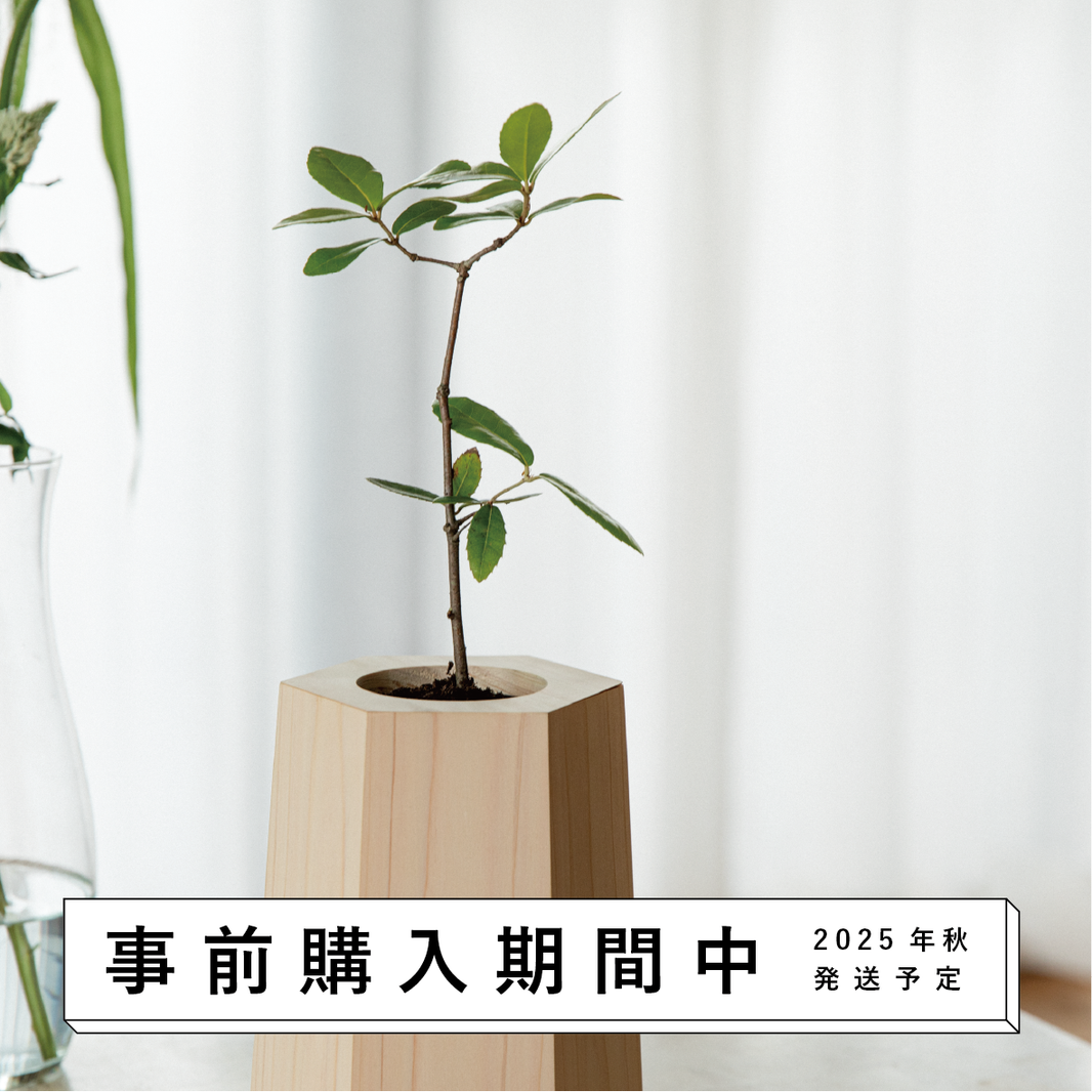 すべての商品 – modrinae